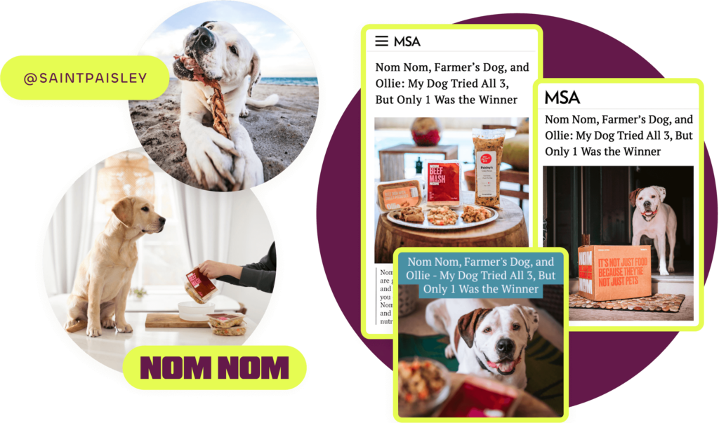 For Creators - Grapevine.ai