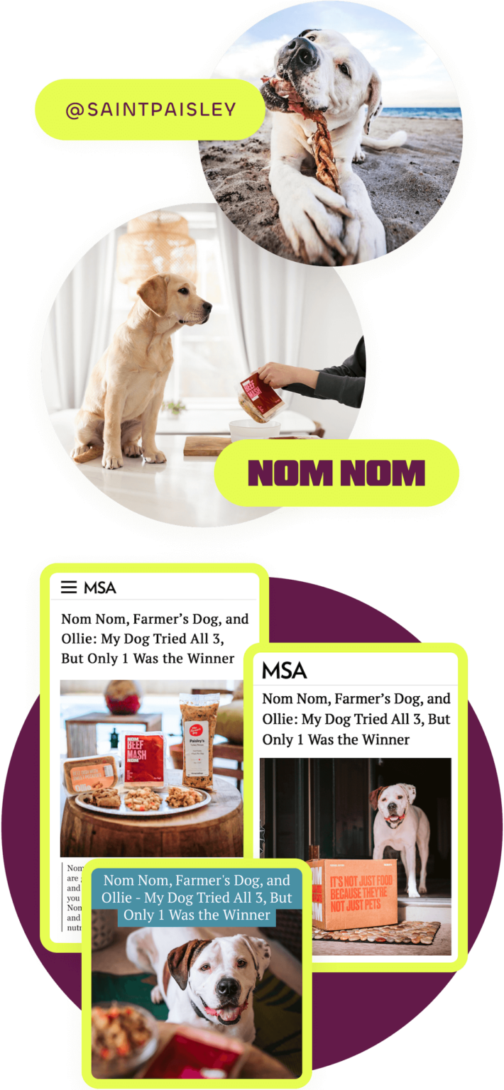 For Creators - Grapevine.ai