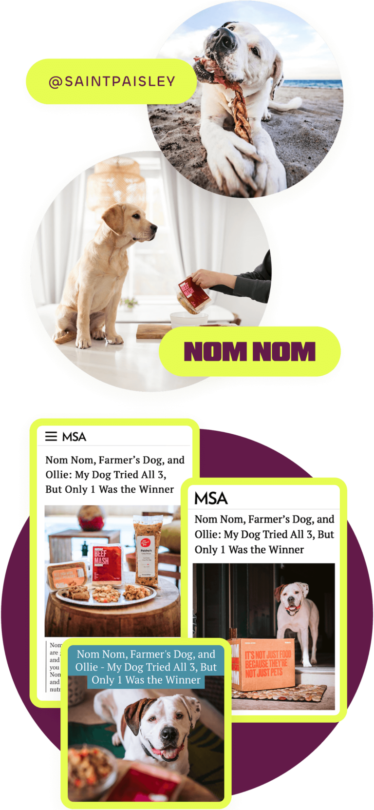 For Creators - Grapevine.ai